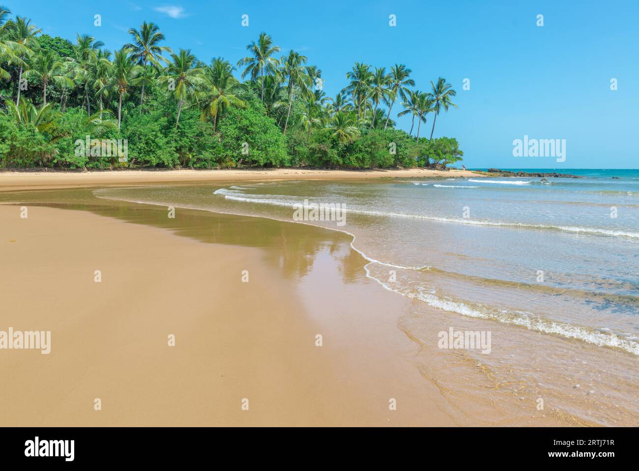 The isolated paradise beach on nice sunny day as background Stock Photo ...