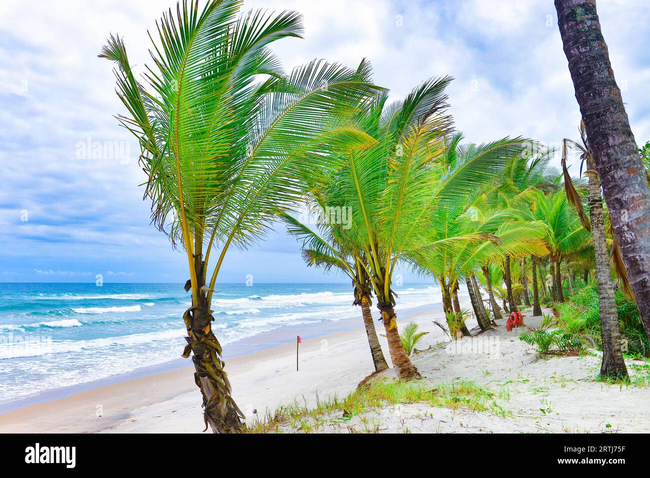 Red color Life buoy on the beach with bright sand and blue sky on the ...