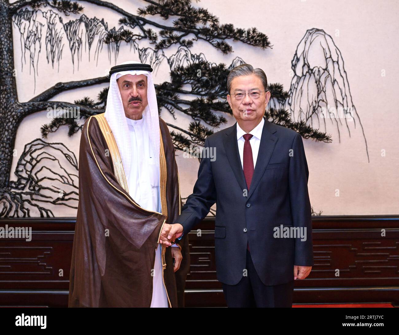 Federal national council uae hi-res stock photography and images - Alamy