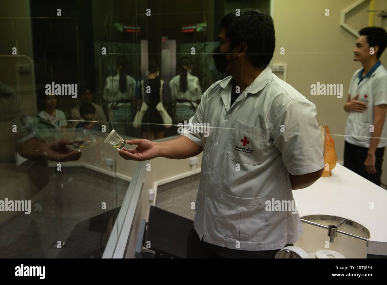 Venom extraction snake hi-res stock photography and images - Alamy