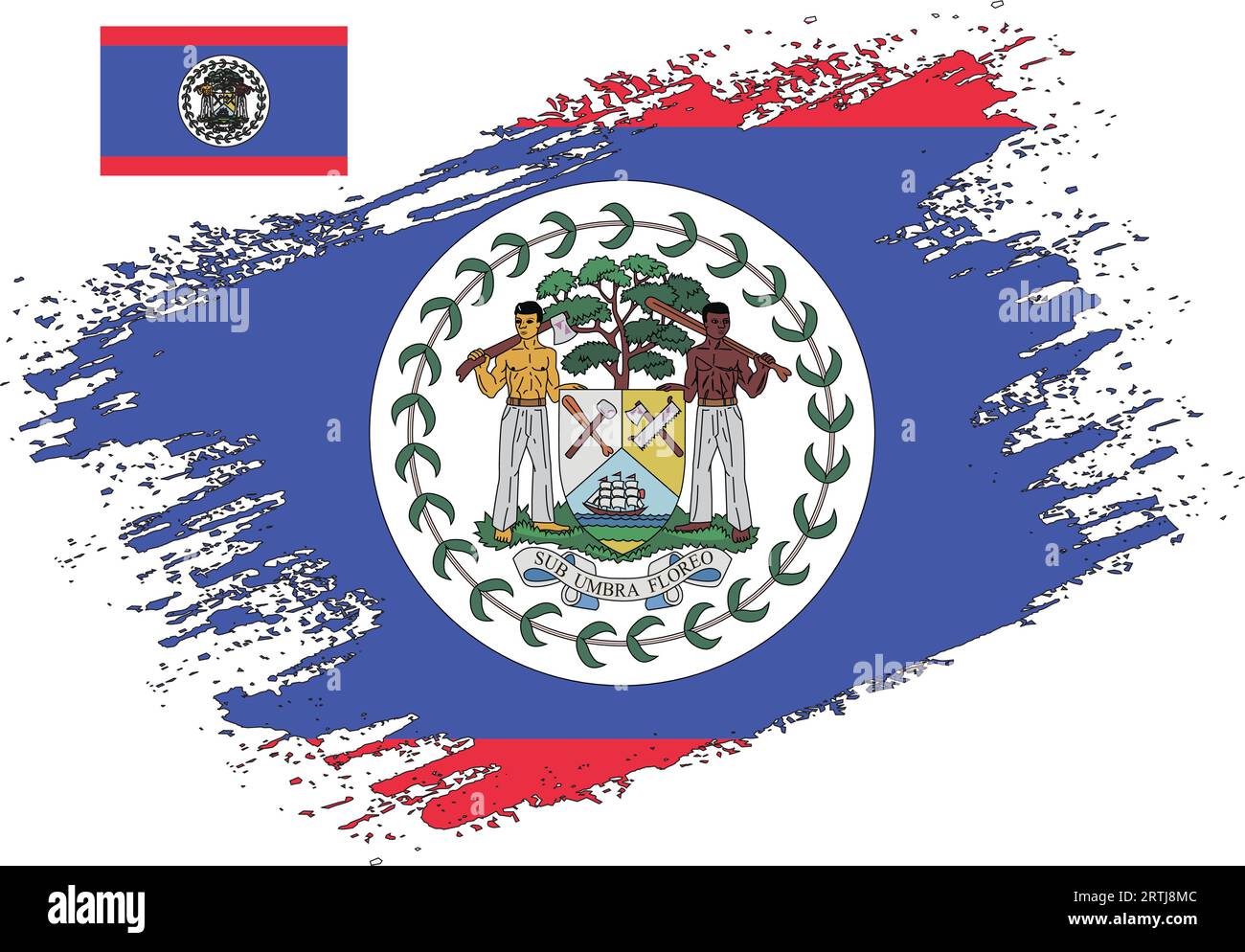 Brush Design Belize Flag Vector Stock Vector Image & Art - Alamy