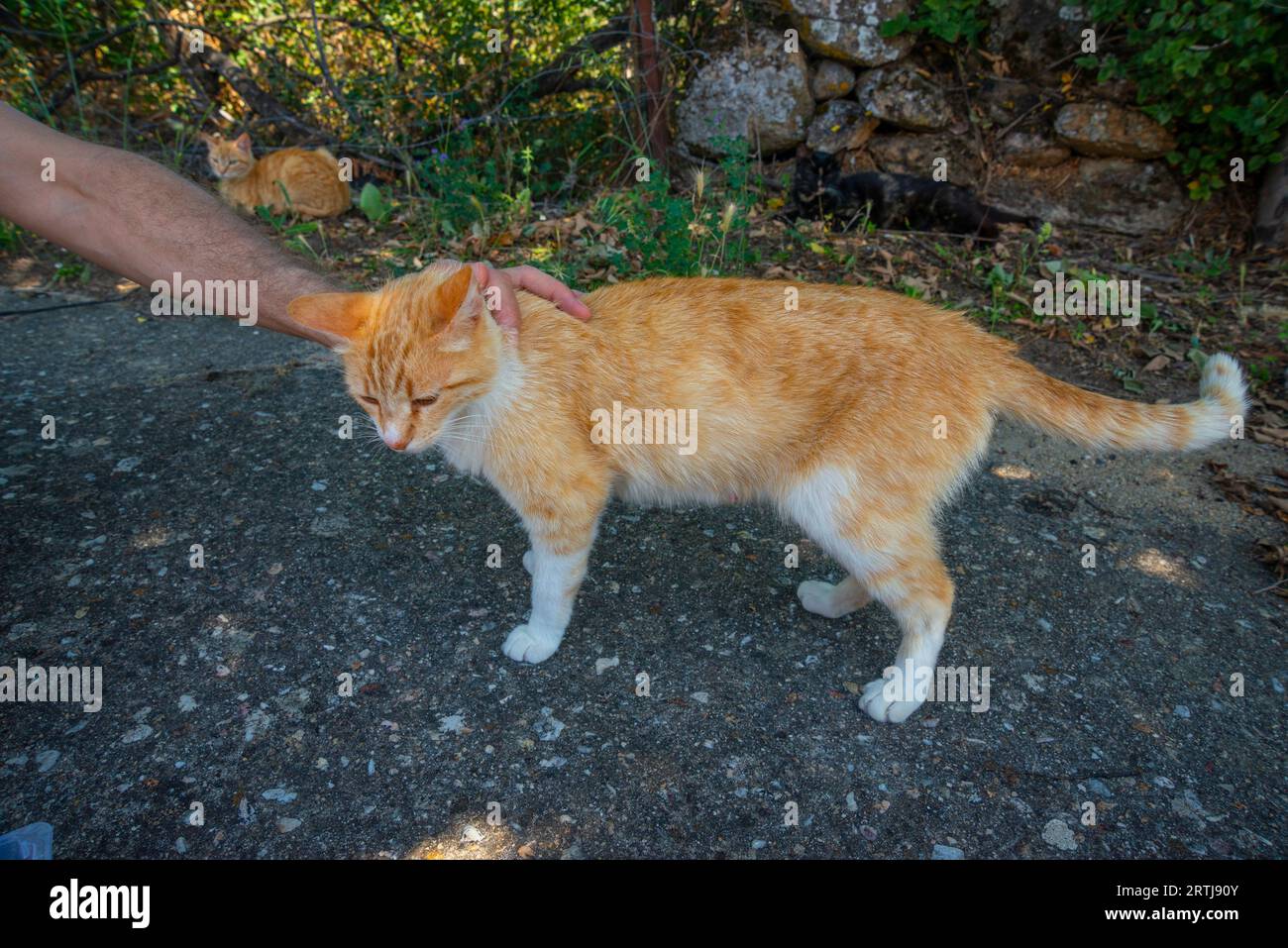 Mano exterior hi-res stock photography and images - Alamy