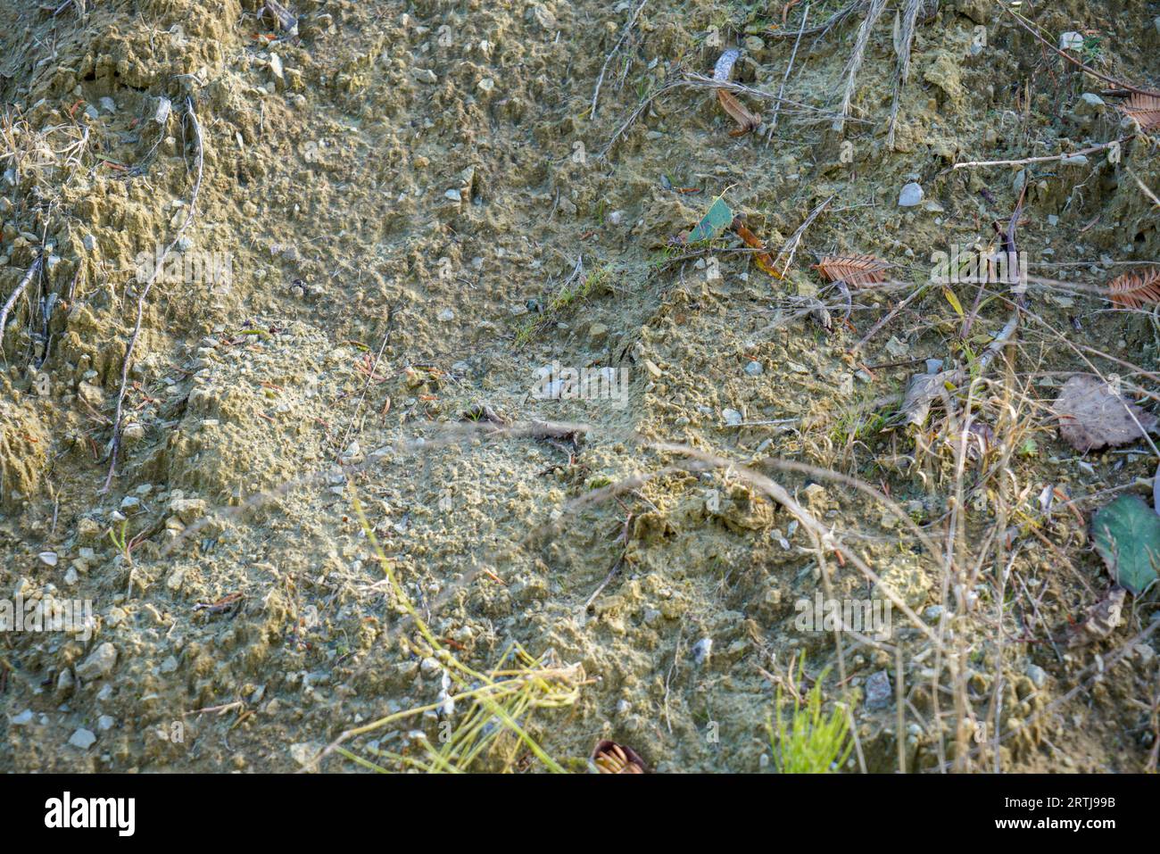 Soil from the quarry as a waste product and for versatile use in the ...