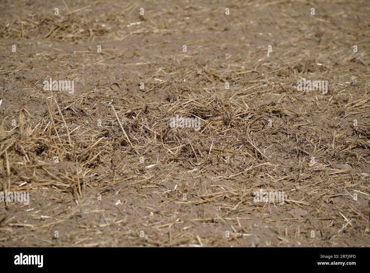 Soil from the quarry as a waste product and for versatile use in the ...