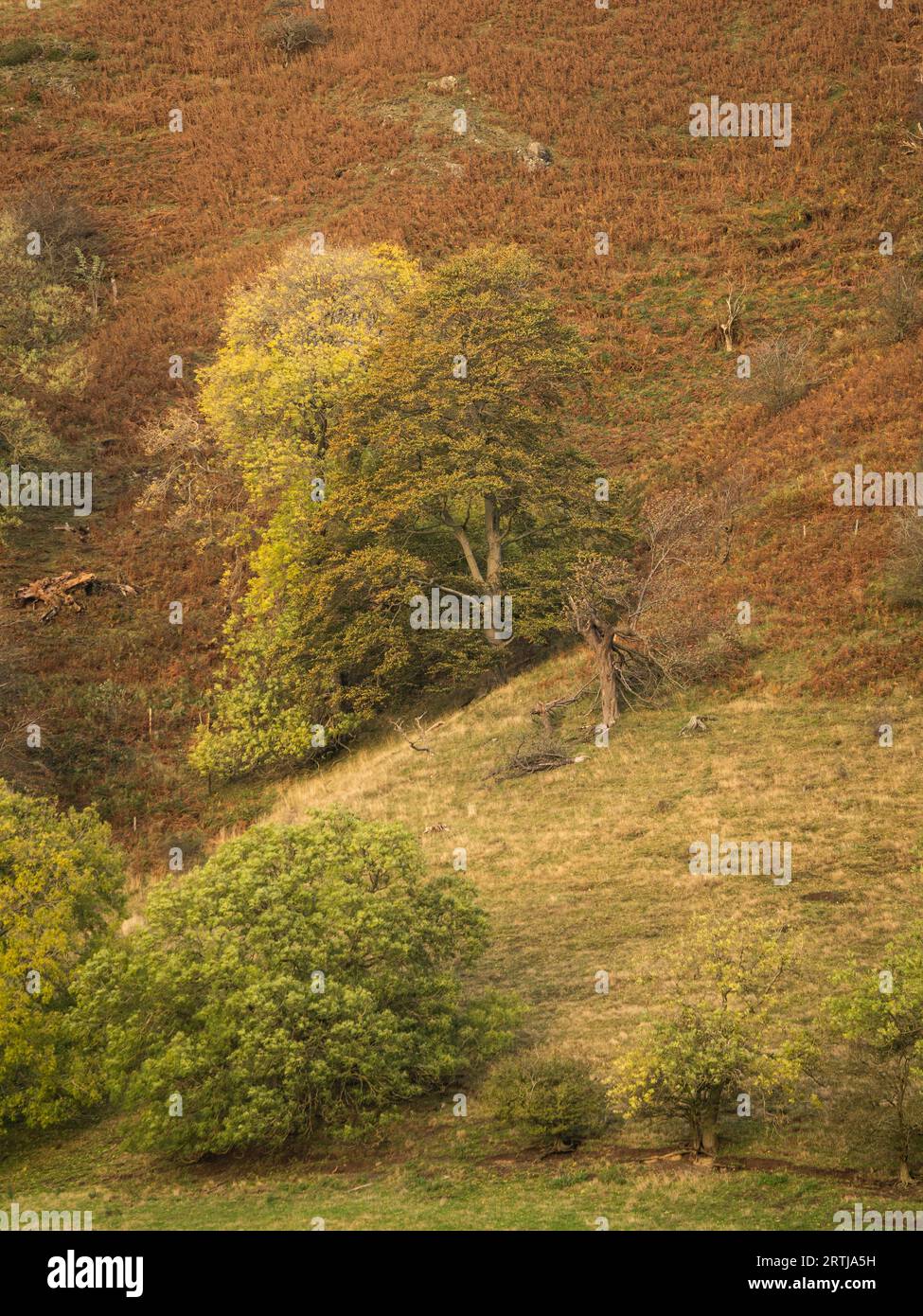 Interlocking spurs in shropshire hi-res stock photography and images ...