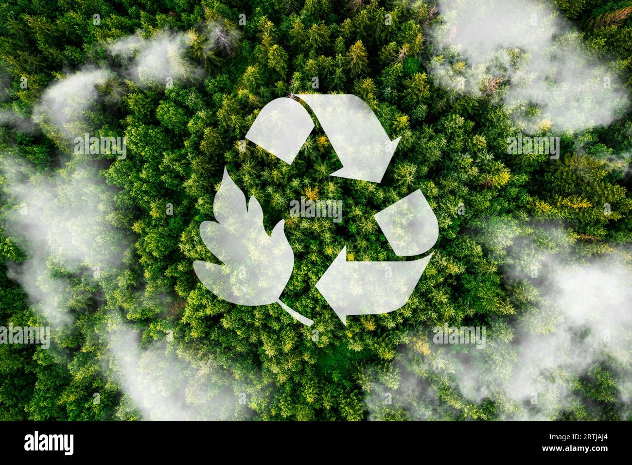 Recycled signage concept amidst the natural beauty of the natural ...