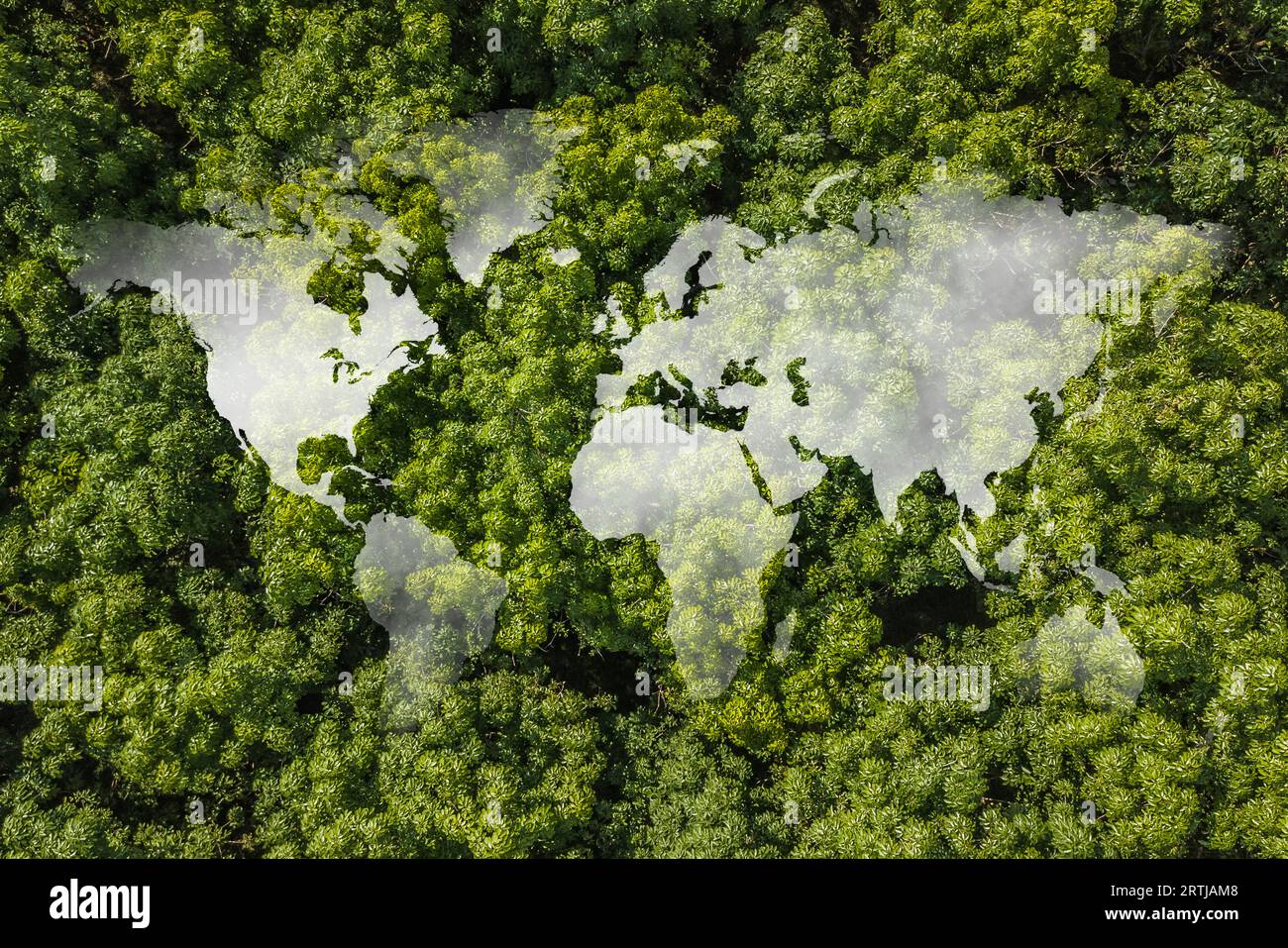 Global map against a woodland with cloudy sky - global village and ...