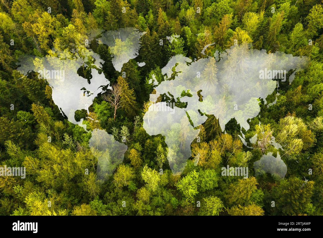 Global map against a woodland with cloudy sky - global village and ...