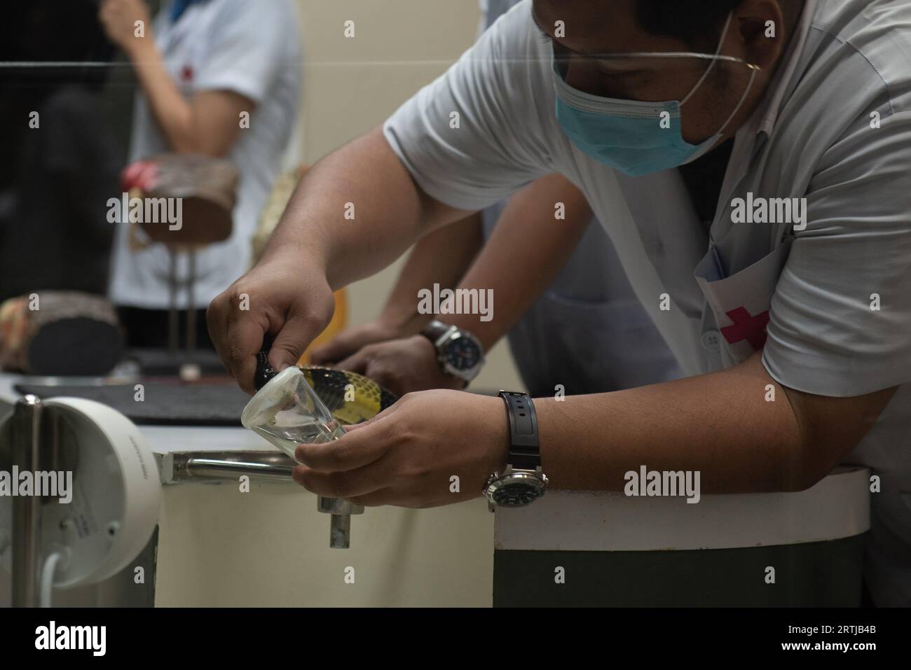 Bangkok, Thailand. 13th Sep, 2023. A skilled snake farm staff ...
