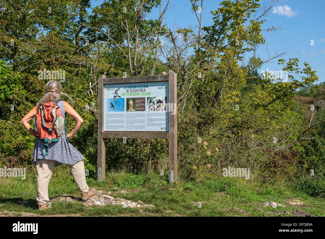 Ruine romaine hi-res stock photography and images - Alamy