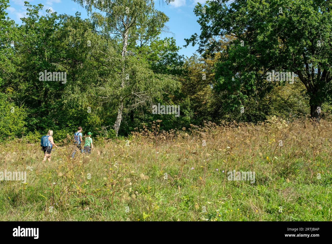 Located in the valley of the river Lesse the natural reserve of Furfooz ...