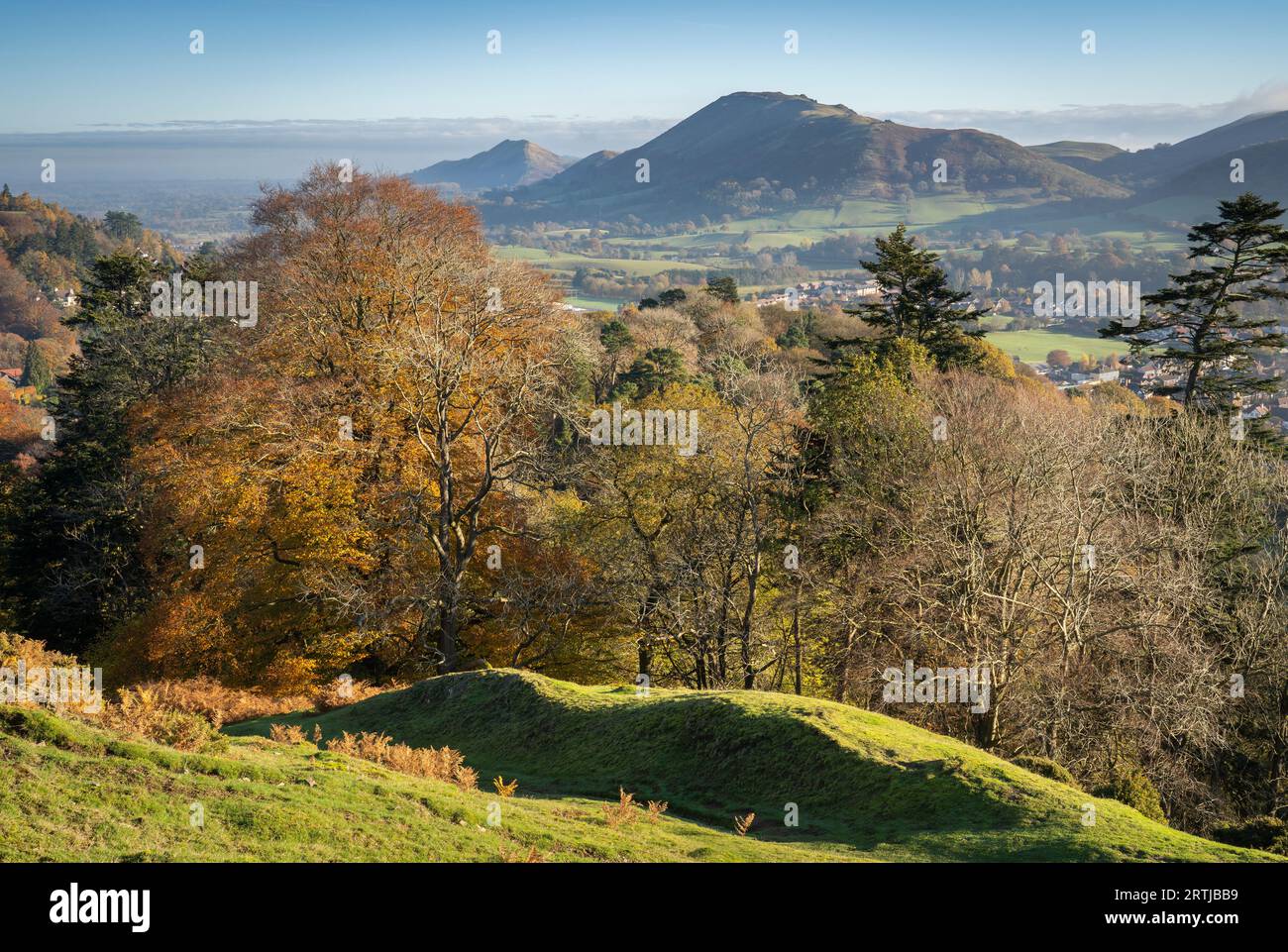The view from the footpath to Ashlet which is a hill on the Eastern ...