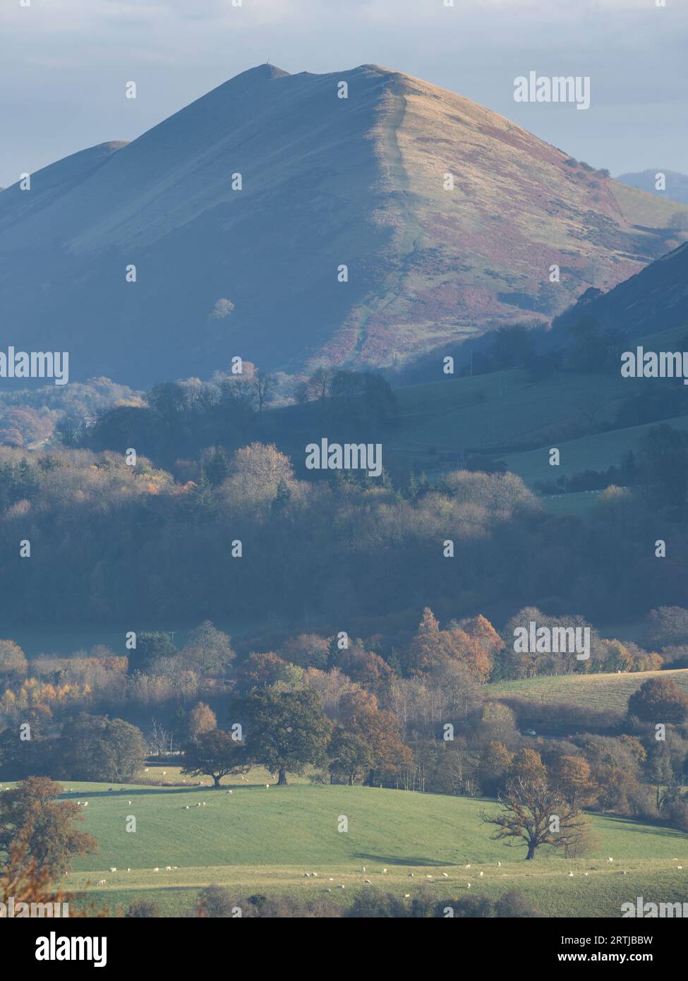 The view from the footpath to Ashlet which is a hill on the Eastern ...