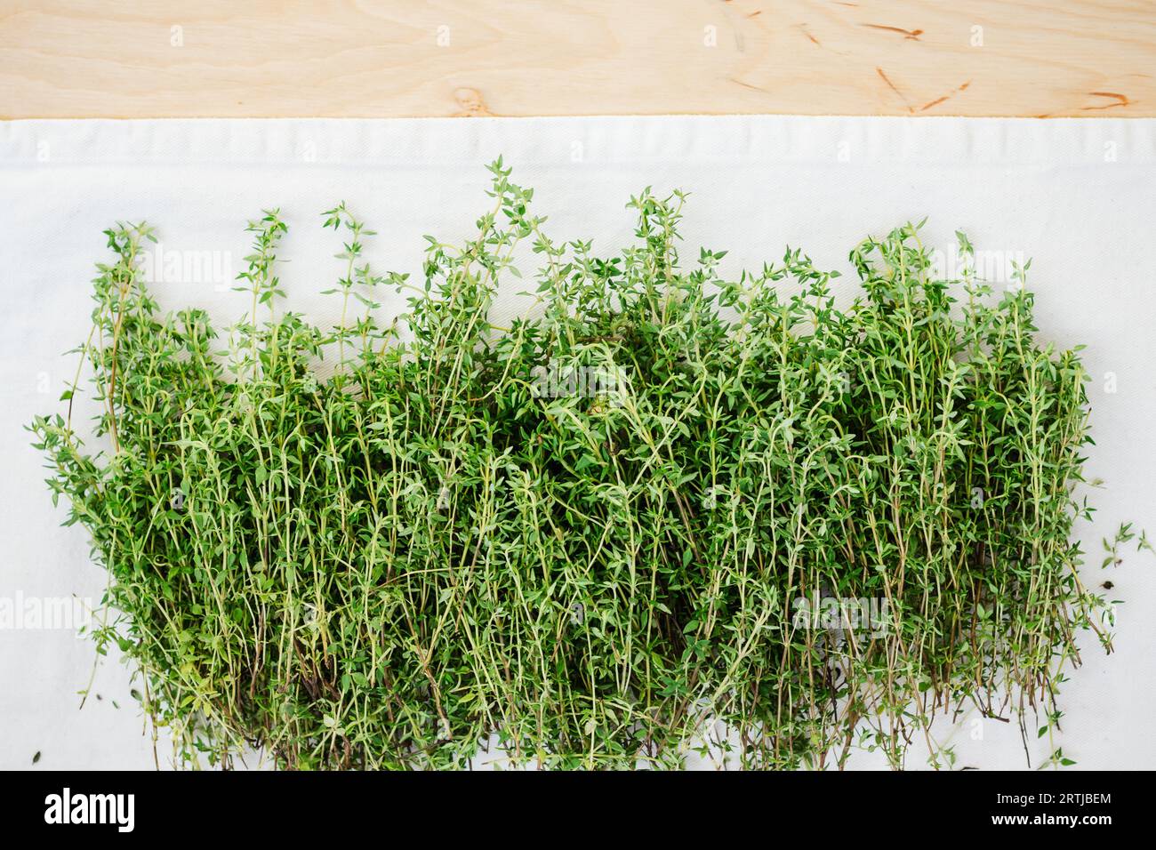 Harvested fresh thyme for drying. Spice, medicinal herb Stock Photo - Alamy