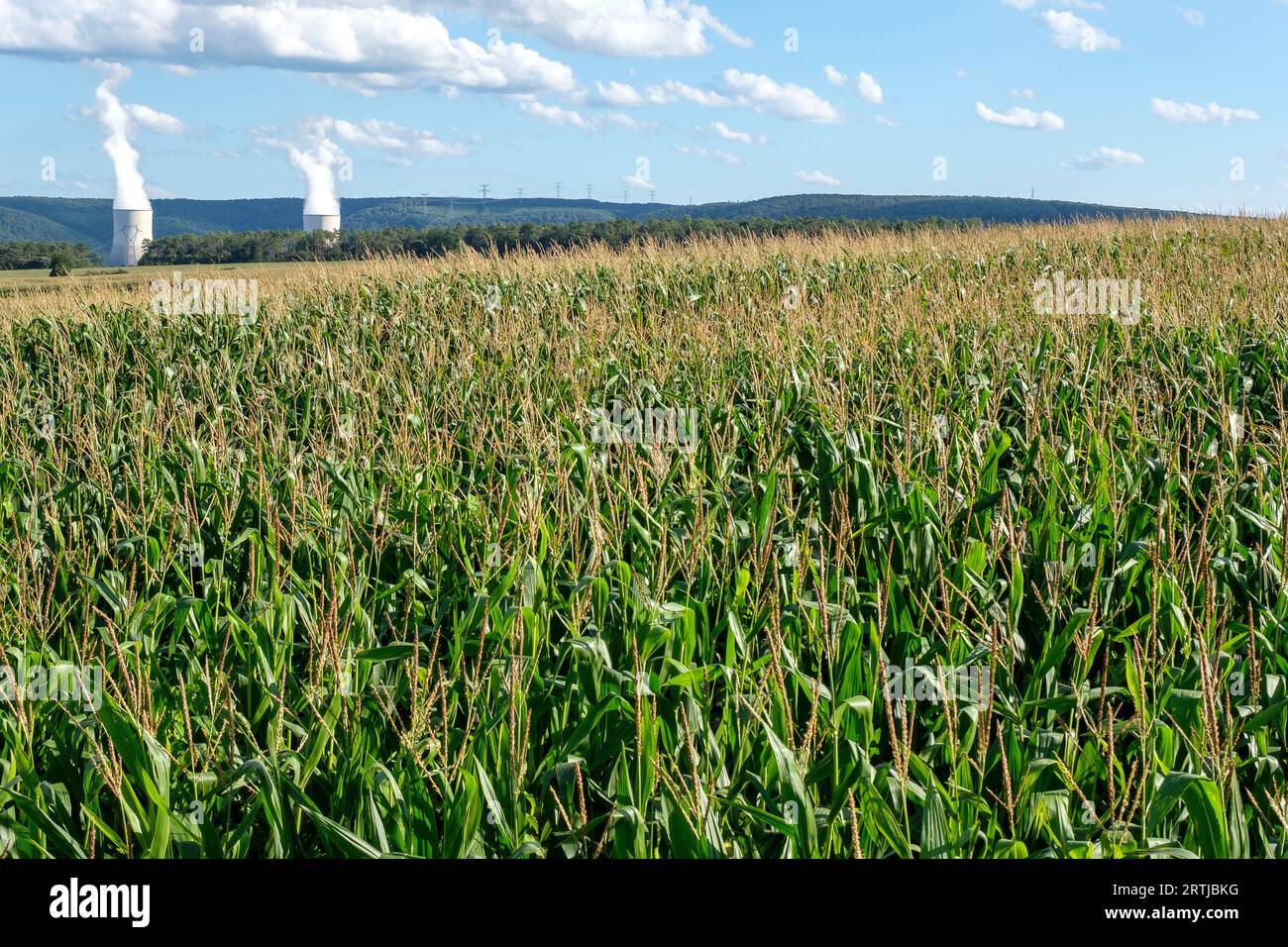 Autour du champ hi-res stock photography and images - Alamy