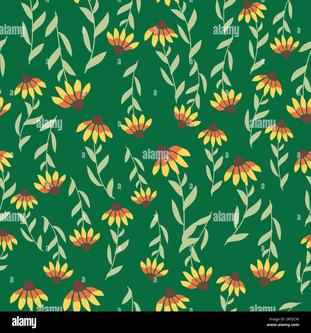 Rudbeckia Contrast floral summer background, seamless pattern for ...