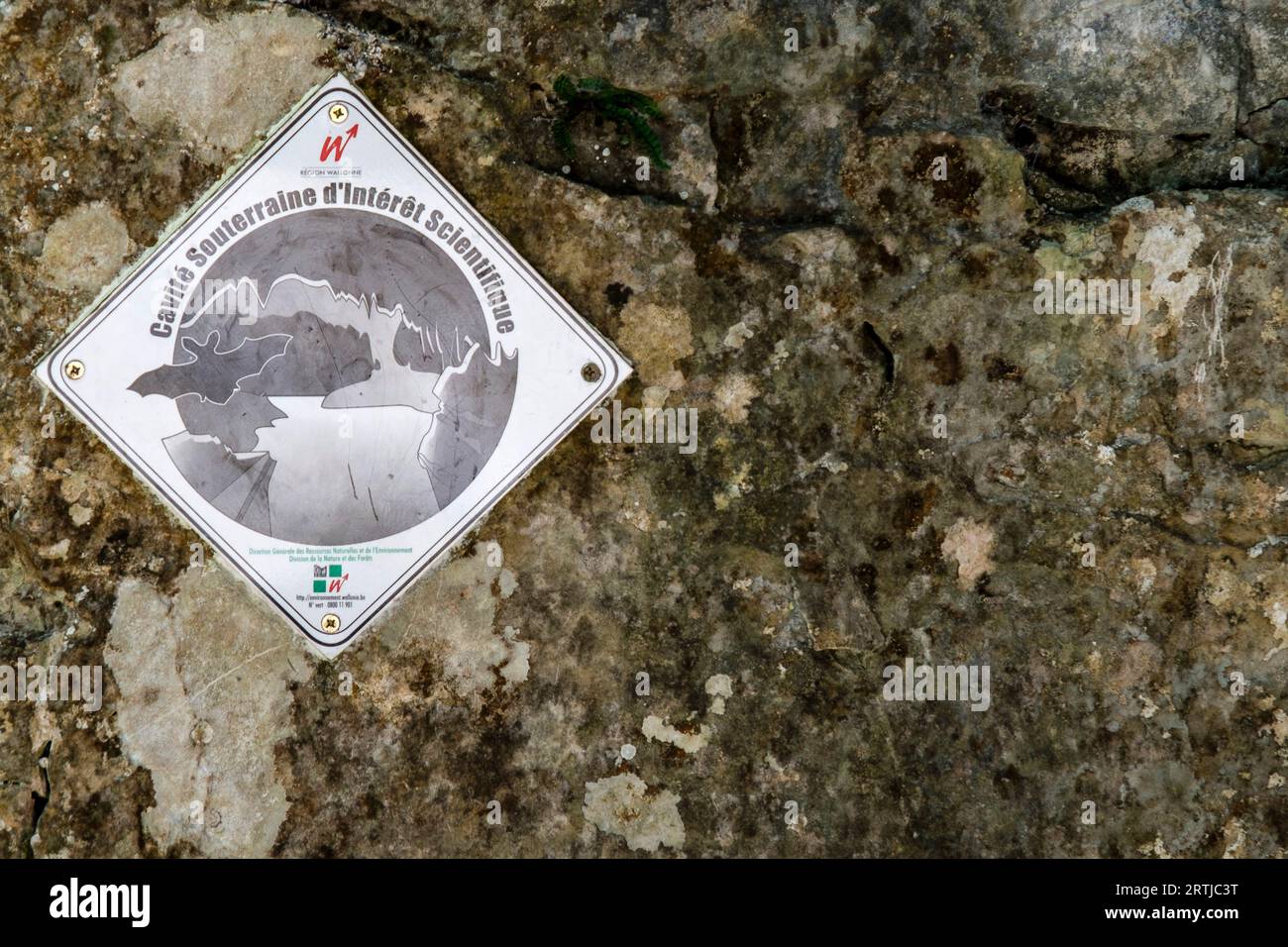 Logo de Cavite souterraine d'interet scientifique | Underground cave of ...