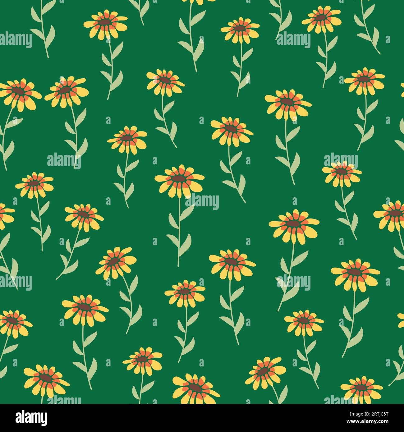 Rudbeckia Contrast floral summer background, seamless pattern for ...