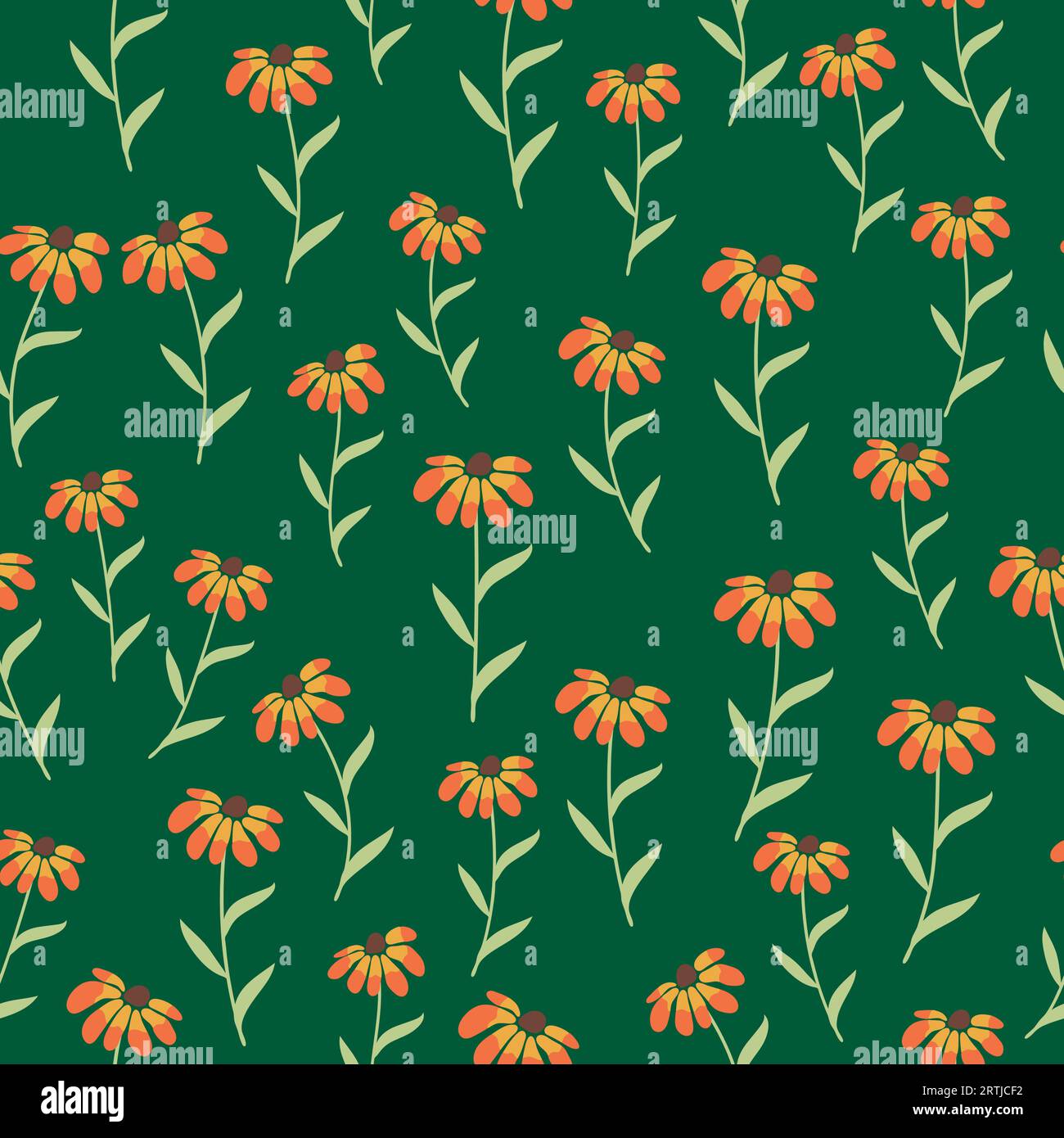 Rudbeckia Contrast floral summer background, seamless pattern for ...