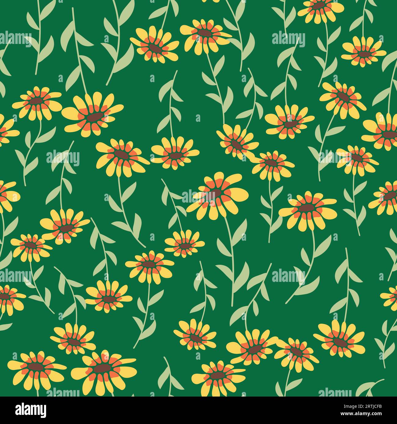Rudbeckia Contrast floral summer background, seamless pattern for ...