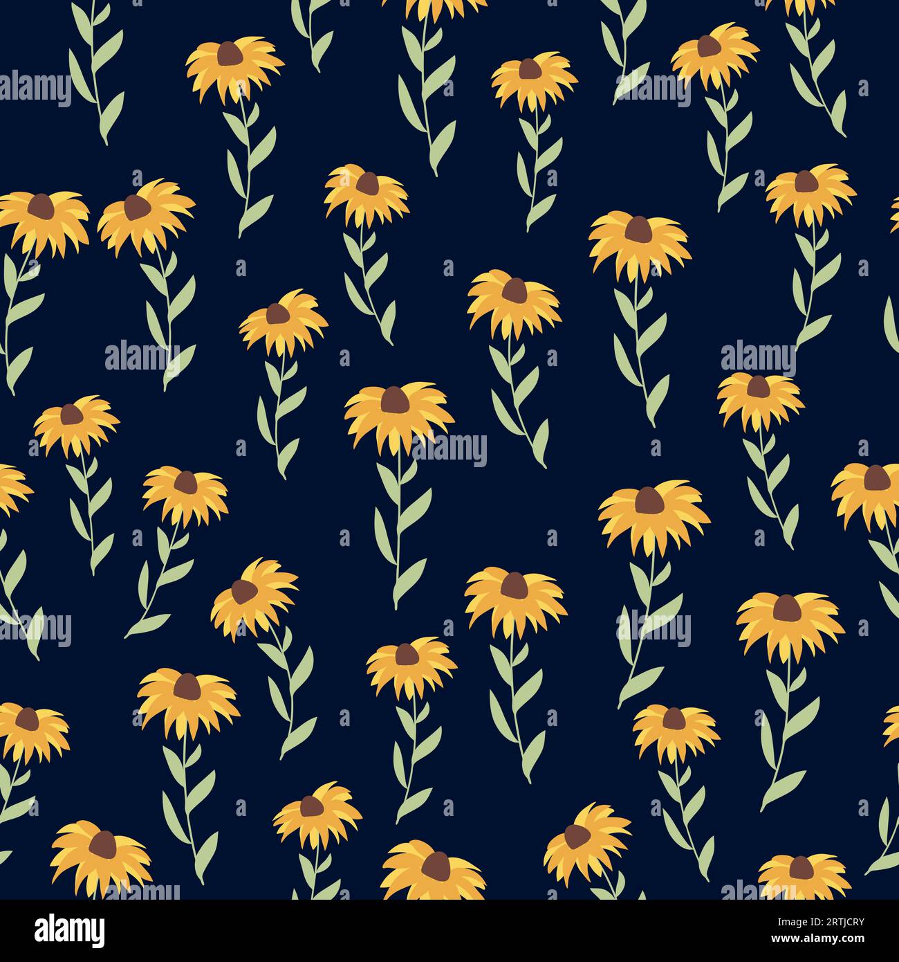 Rudbeckia Contrast floral summer background, seamless pattern for ...