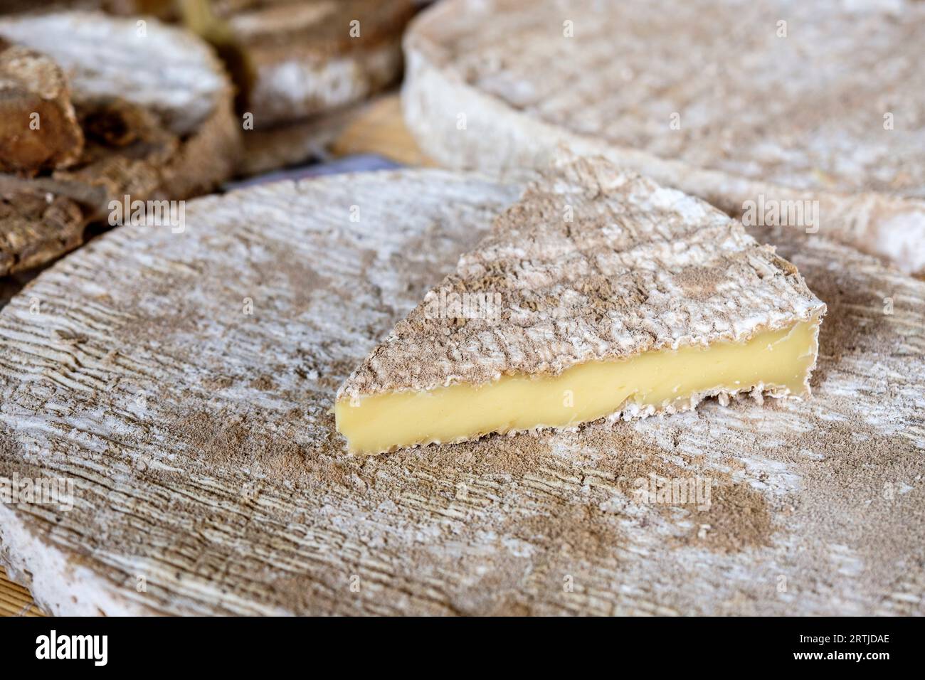 Sliced Brie cheese ripened soft dough | Triangle de fromage Brie - pâte ...