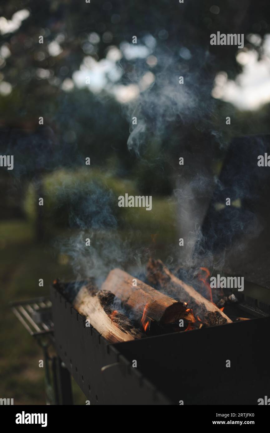 barbecue BBQ grill with flaming fire and ember charcoal on nature ...