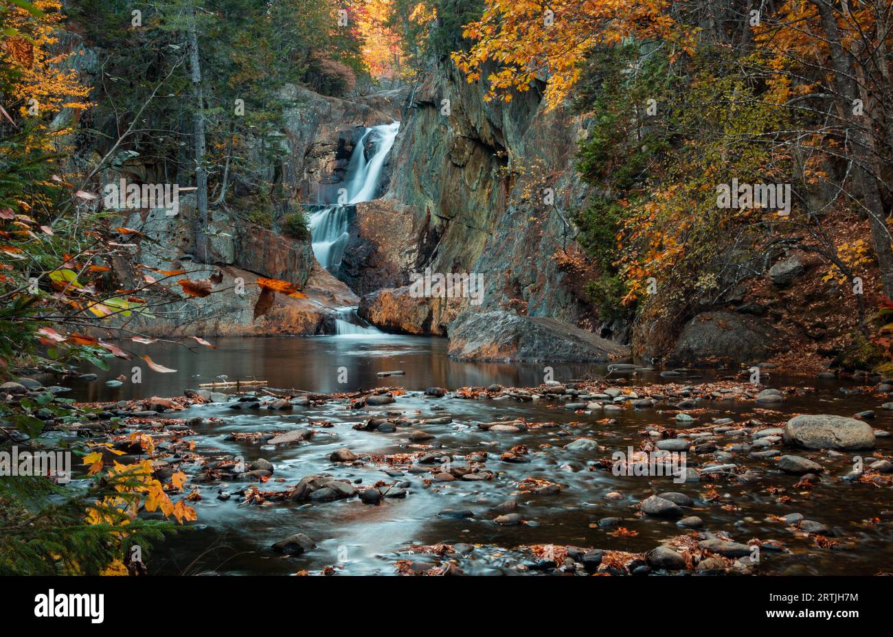 Falls on bed hi-res stock photography and images - Alamy