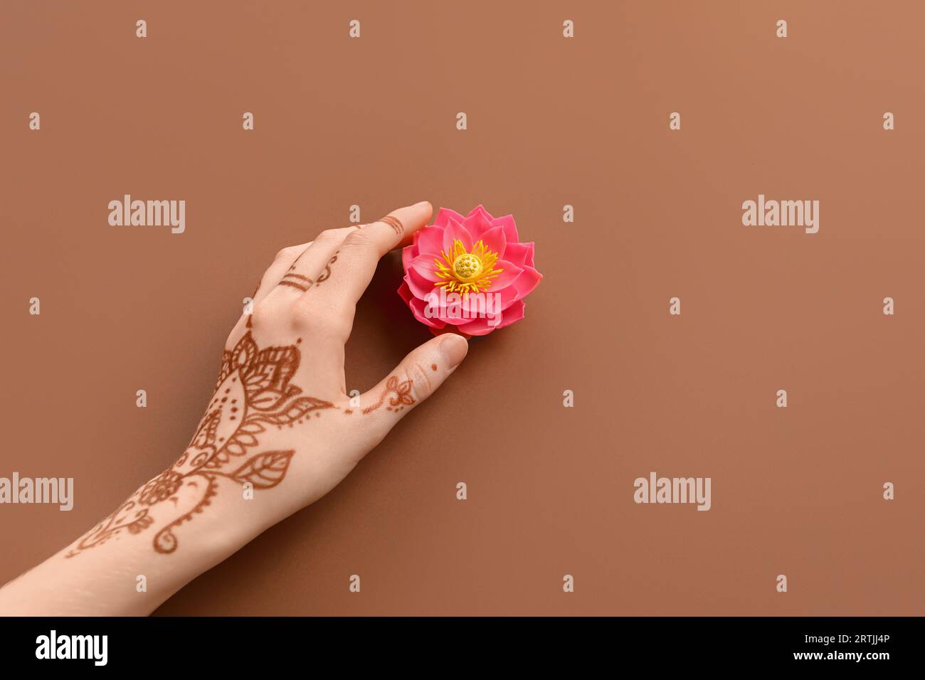 Female hand with lotus flower for celebration of Divaly on brown ...