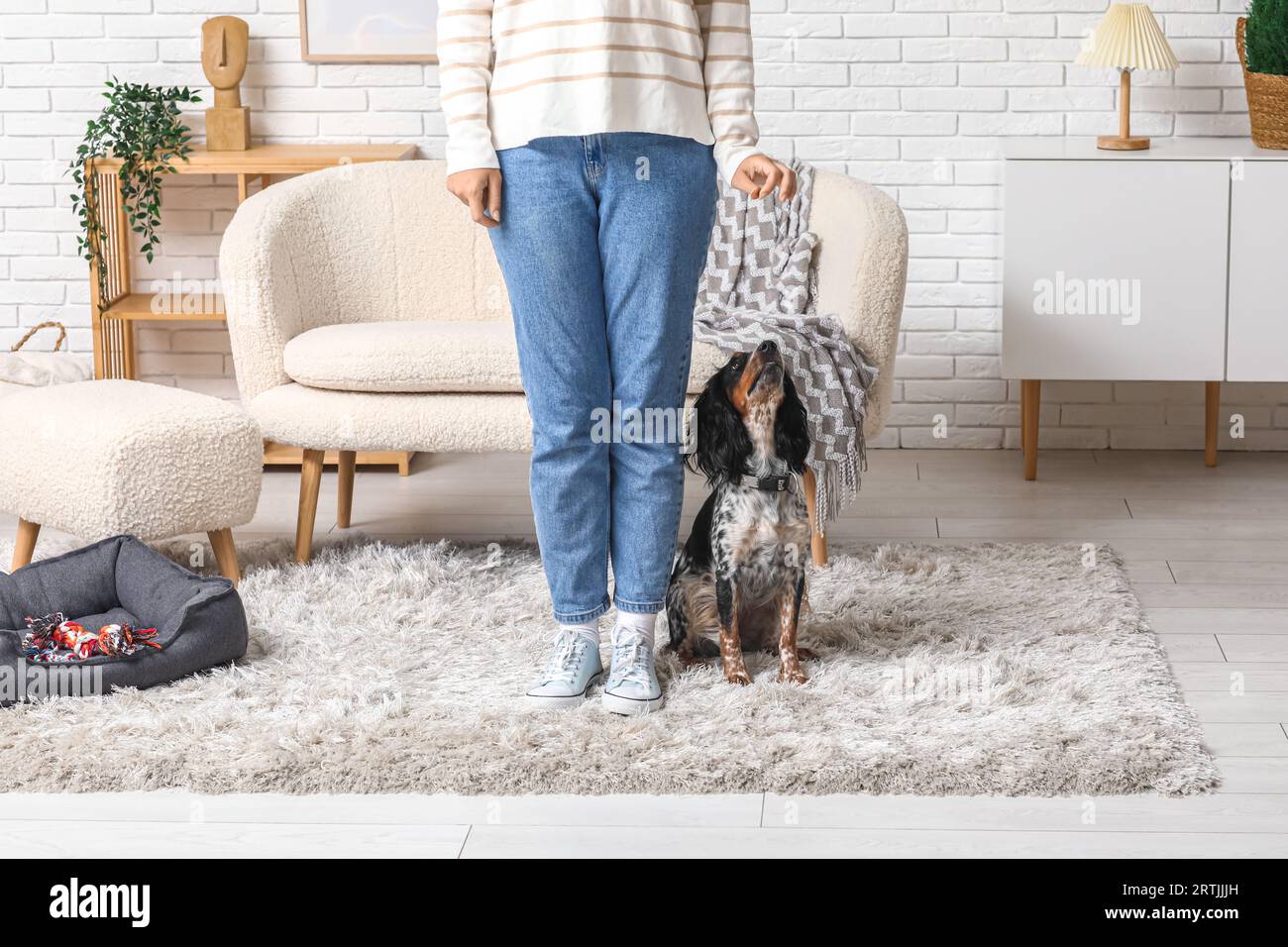 Dog handler with pet at home Stock Photo - Alamy