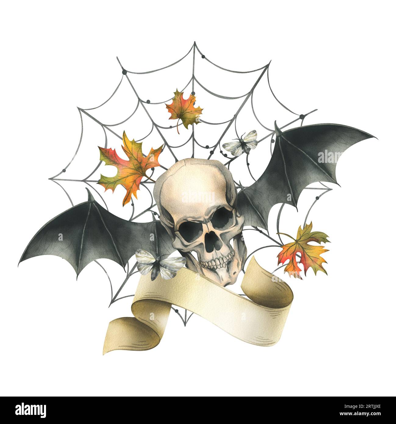 Human skull with bat wings, moth, paper scroll, witch hat, cobweb and ...