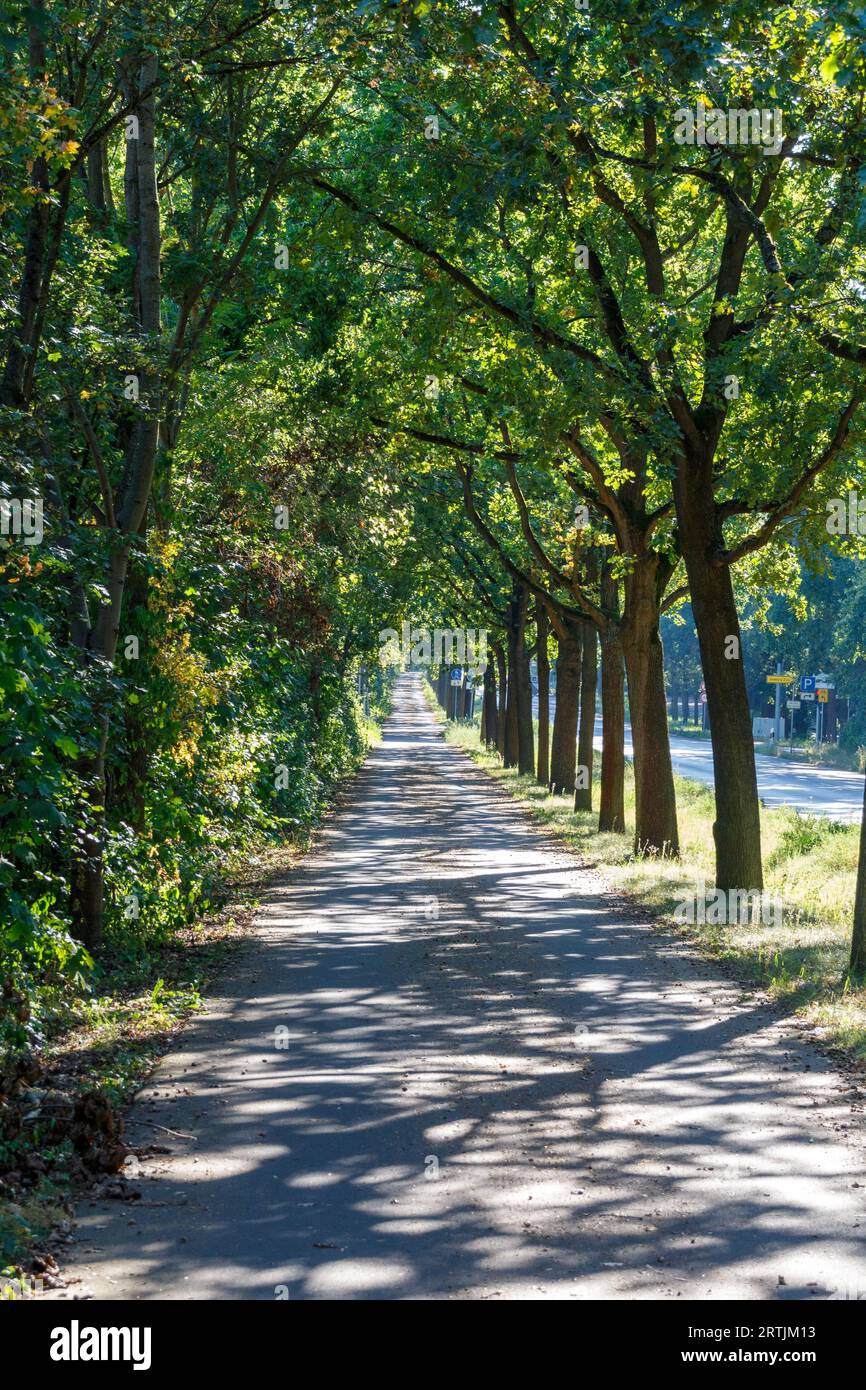 Chaussee hi-res stock photography and images - Alamy