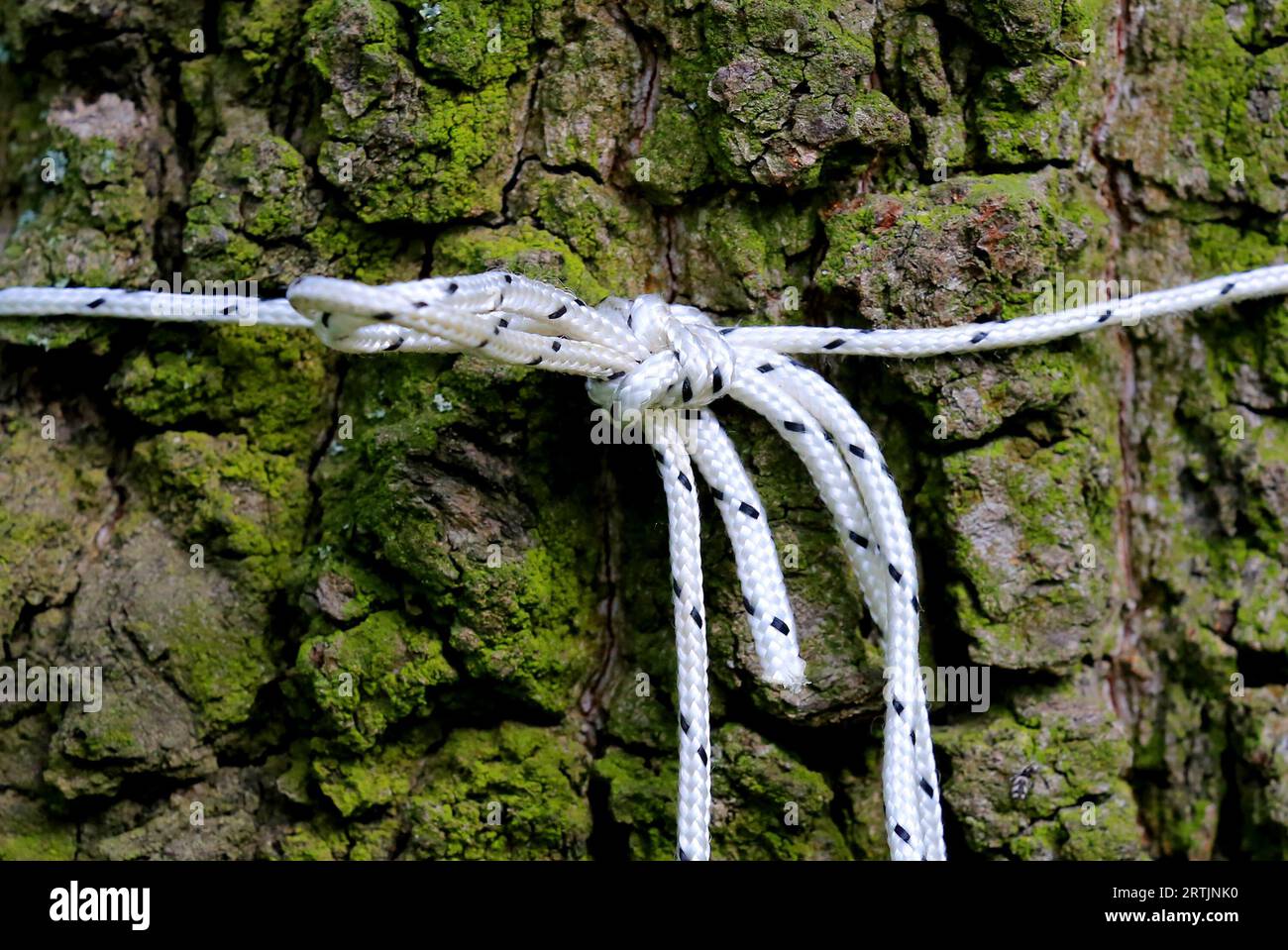 White rope knot hi-res stock photography and images - Alamy