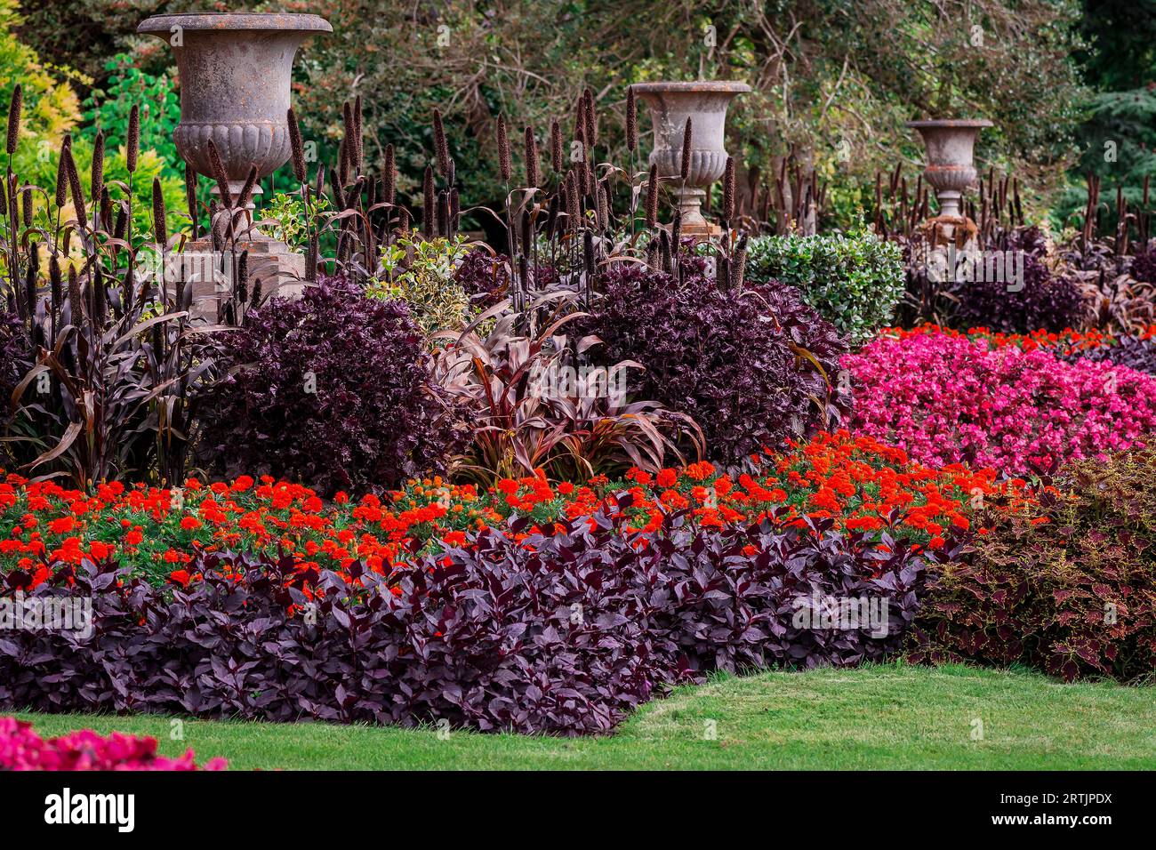 close up flowers in the autumn garden Stock Photo - Alamy