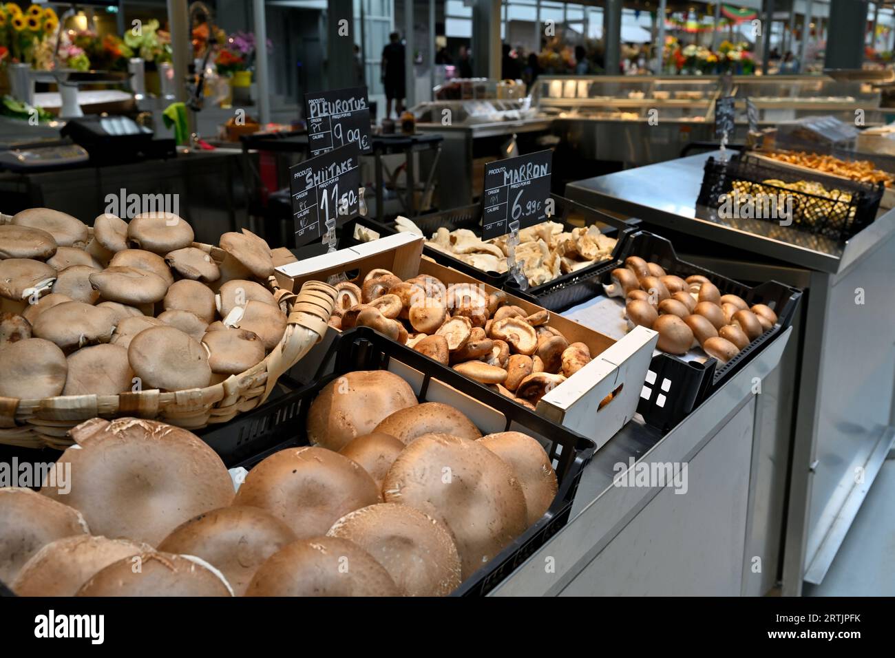 Market stall with display of various local edible fungi and mushrooms ...