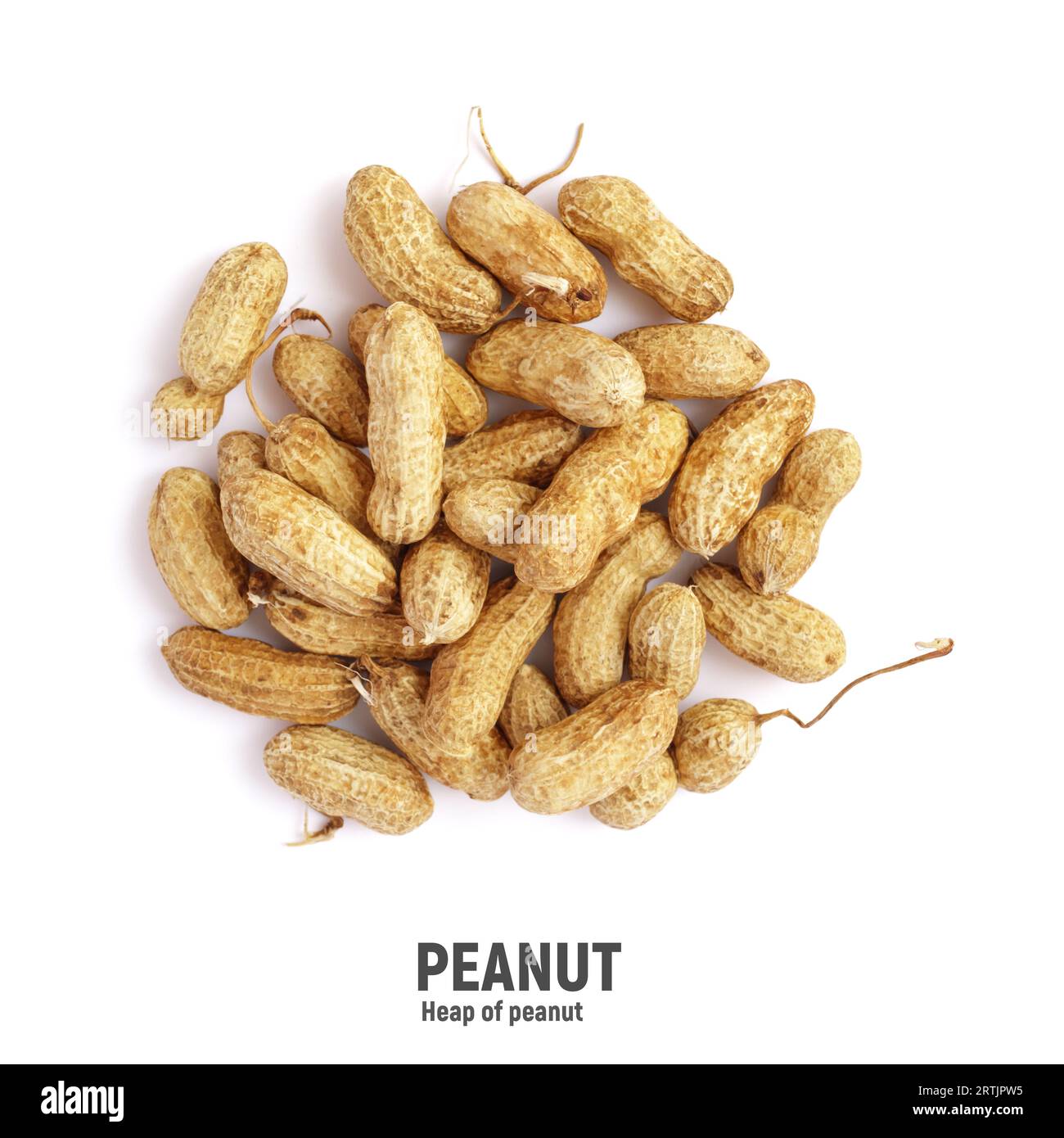 Roasted peanuts, peanuts in shell Isolated on white background Stock ...