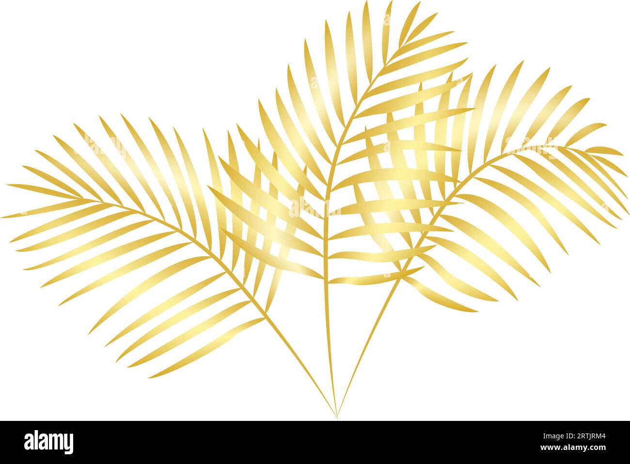 A vector illustration with elegant golden ferns. Golden tropical palm ...
