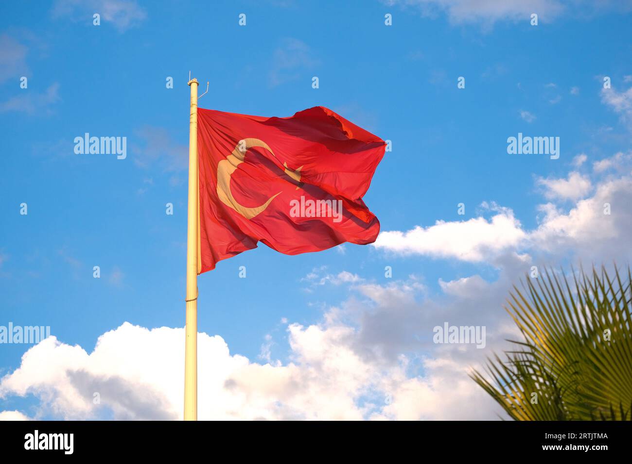Turkish flag waving flapping with trees and blue cloudy sky background ...