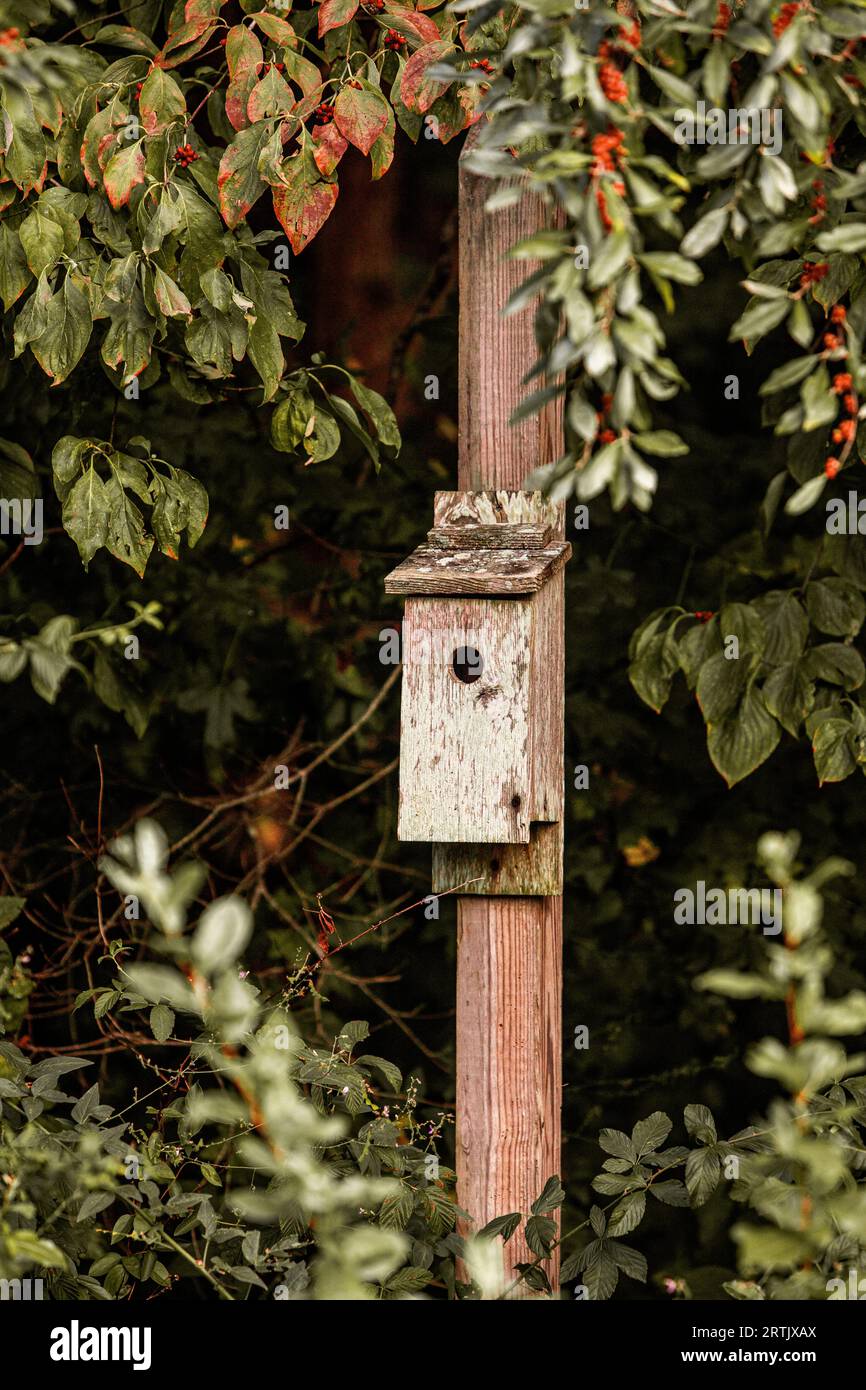 Rustic wooden birdhouse nesting box surrounded by beautiful fall ...