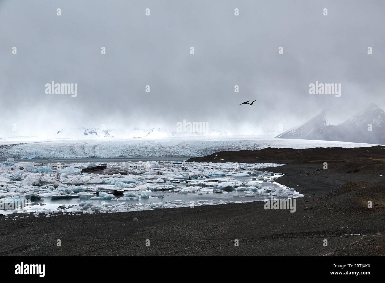 Glier hi-res stock photography and images - Alamy