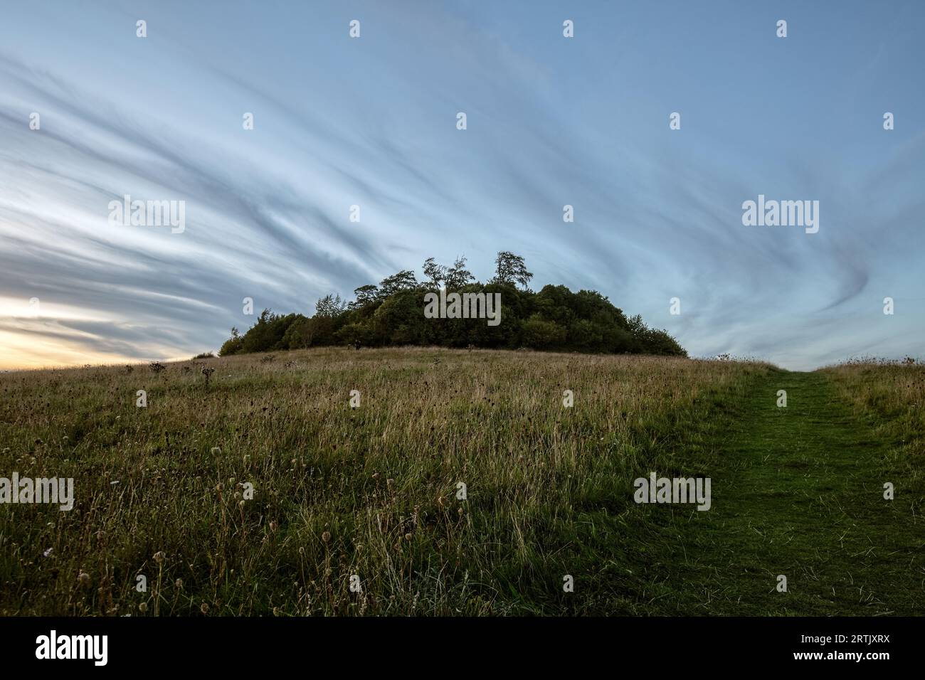 Wittenham Clumps, near Didcot, Oxfordshire Stock Photo - Alamy