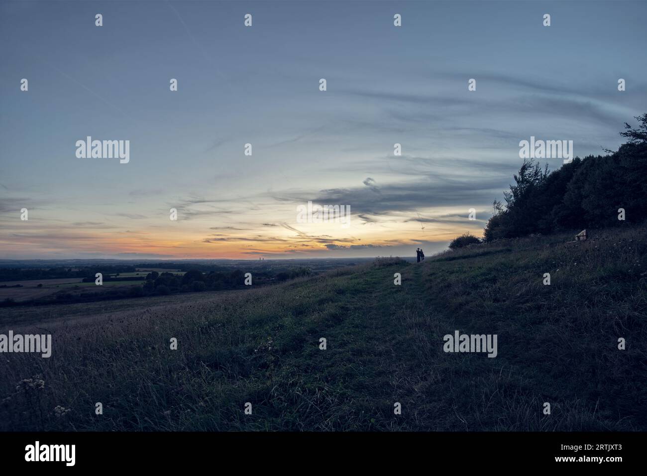 Wittenham Clumps, near Didcot, Oxfordshire Stock Photo - Alamy