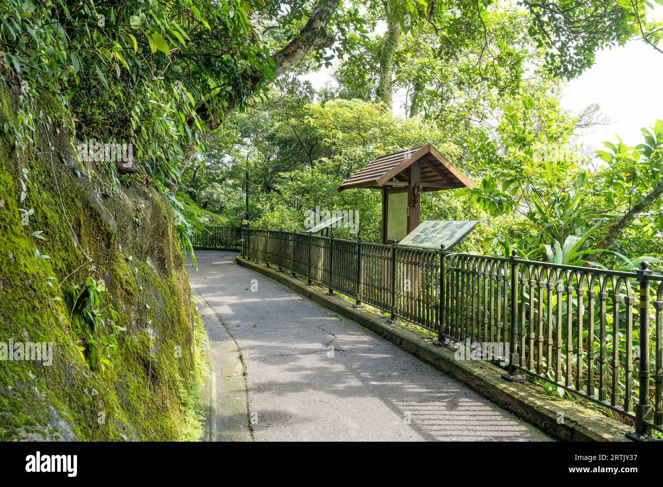 Hiking trial on Victoria Peak in Hong Kong Lugard Road on a sunny ...