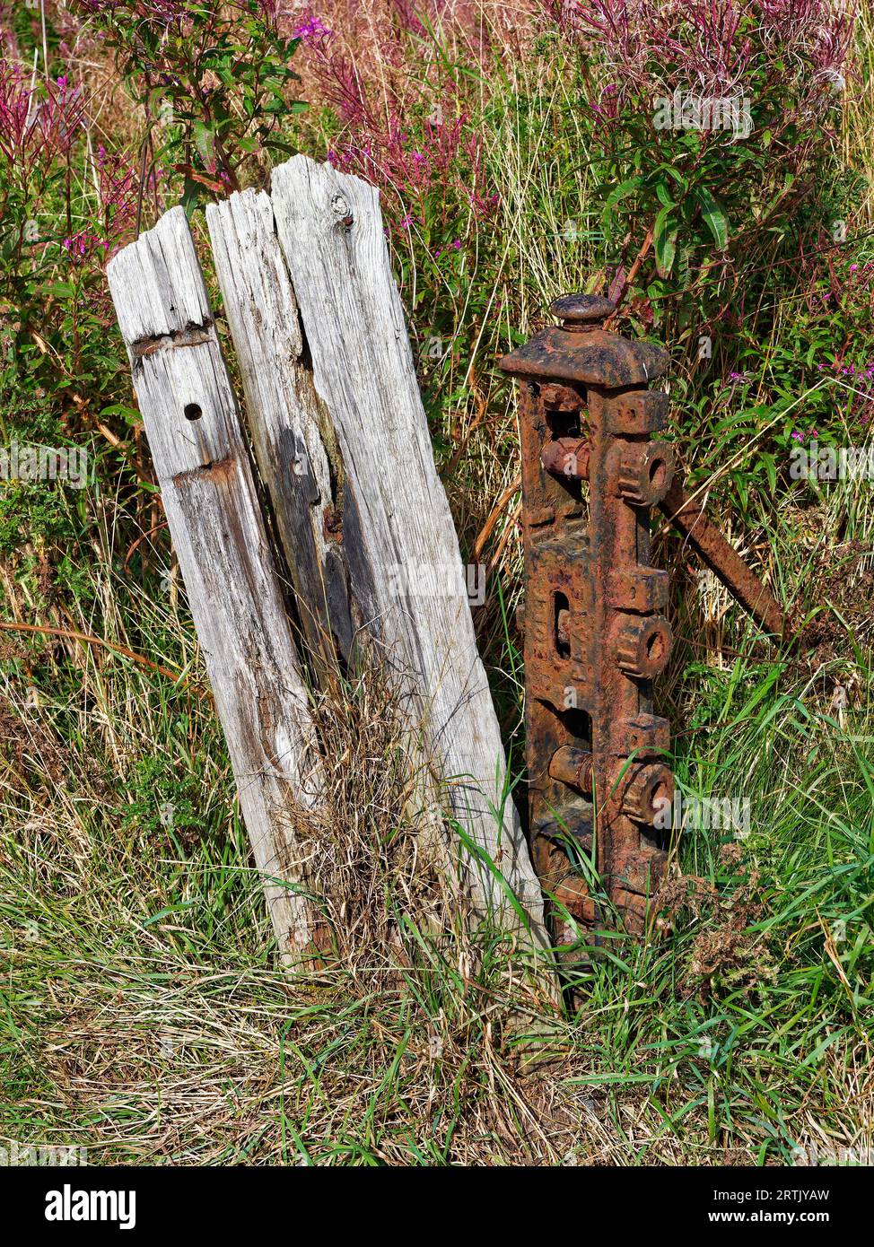A Cast Iron tensioning Fence Post hidden in the undergrowth of grasses ...