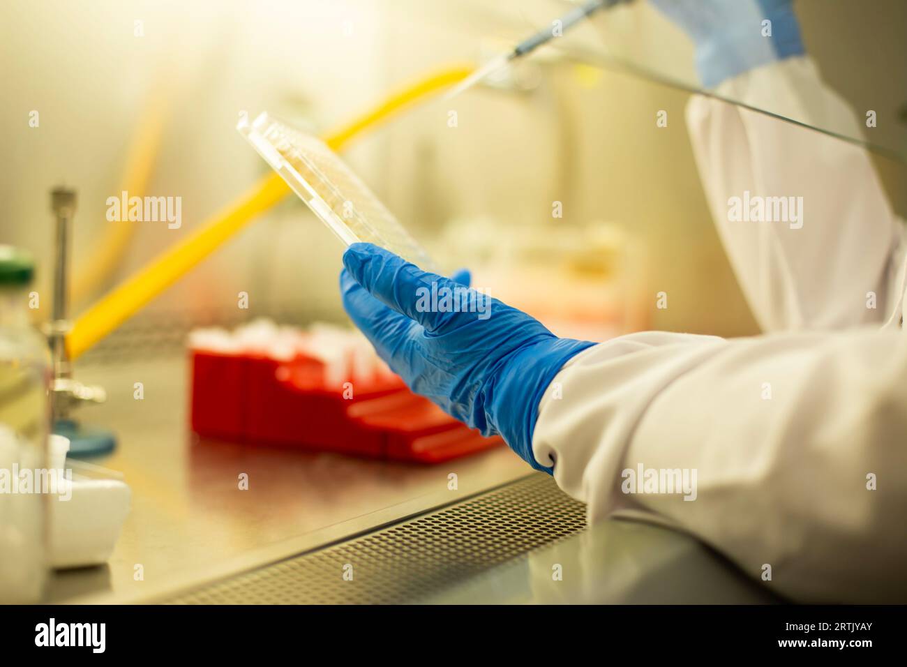 Cell Culture Microbiology at Ronnie Baker blog