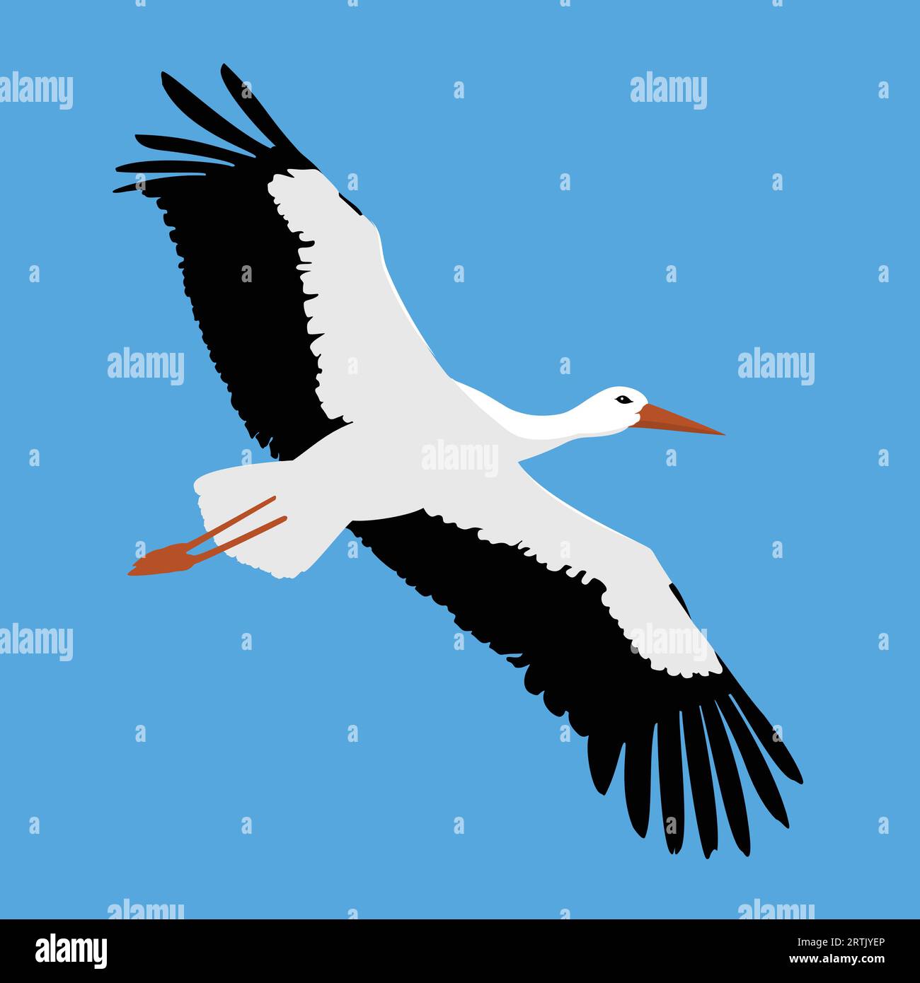 White Stork In Flight Stock Vector Image & Art - Alamy