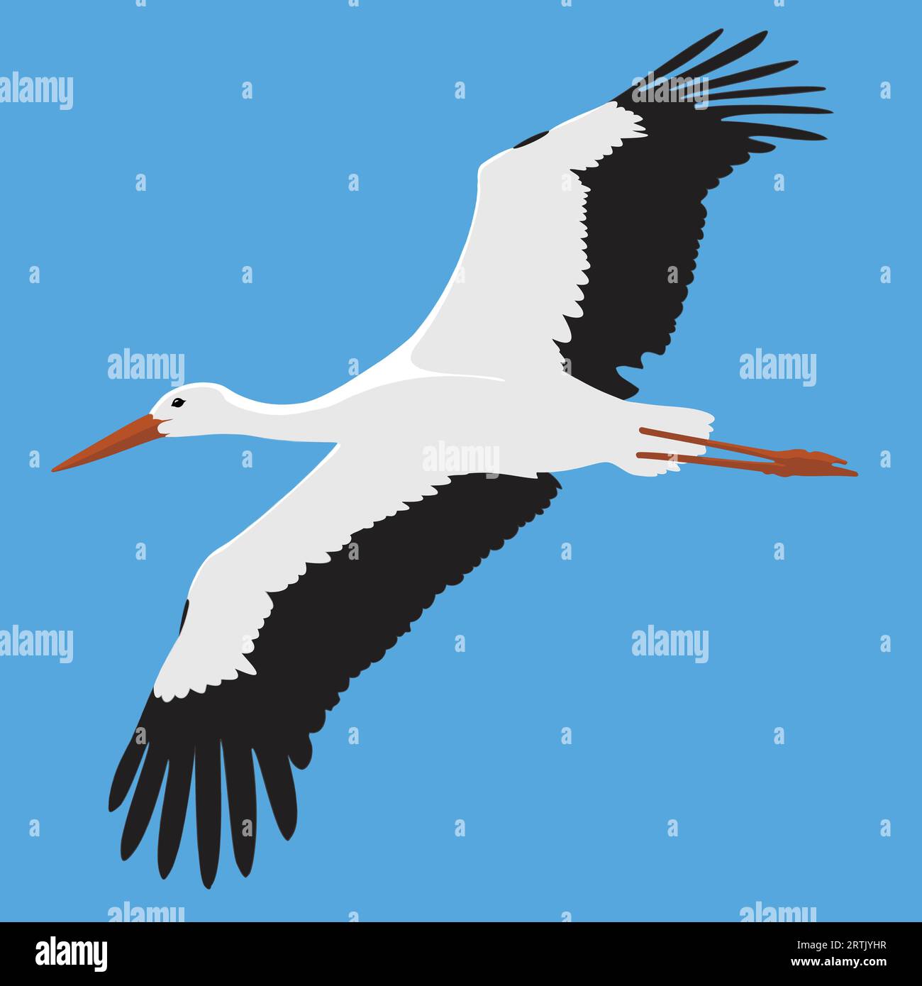 White Stork In Flight Stock Vector Image & Art - Alamy