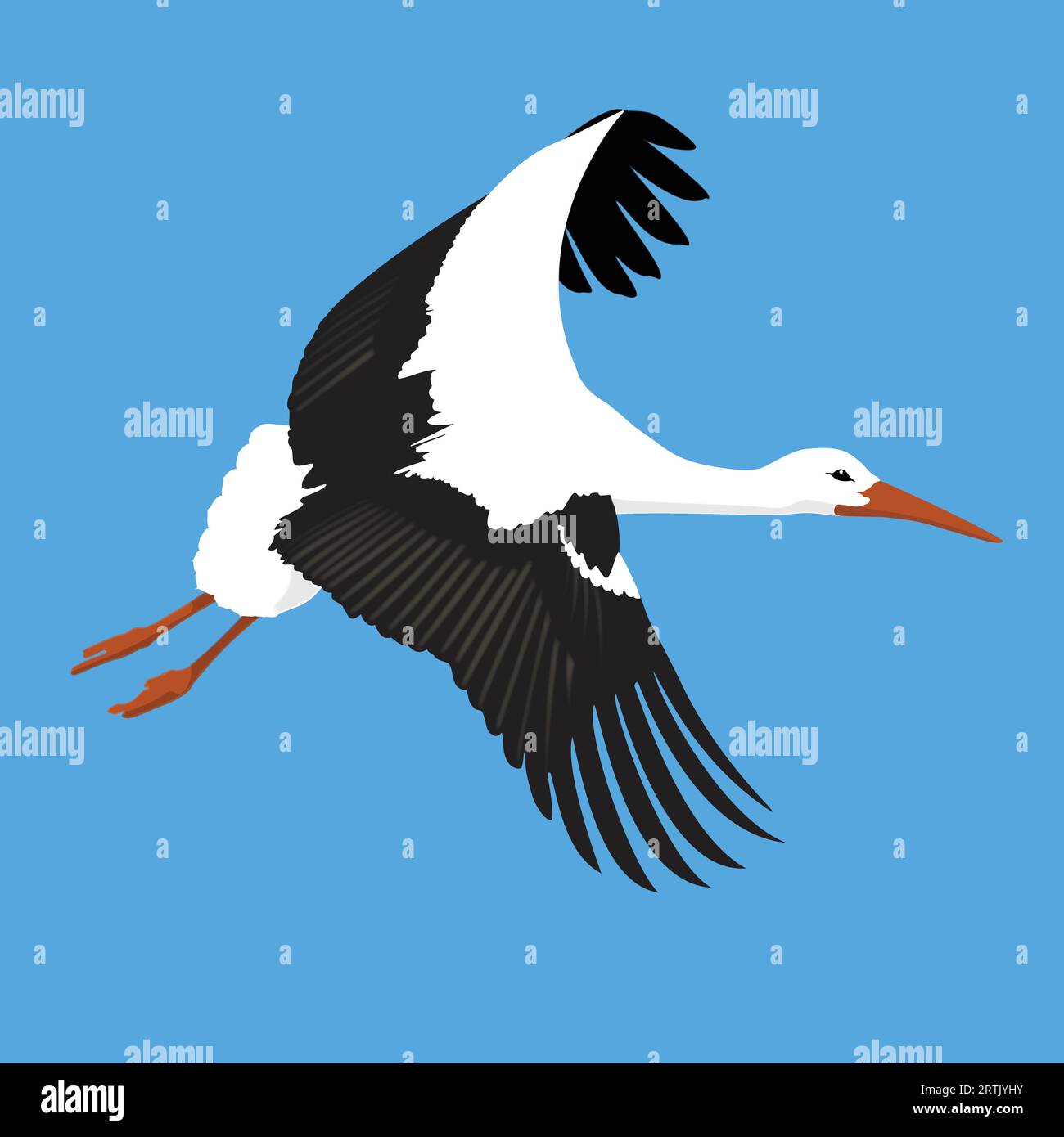 White Stork In Flight Stock Vector Image & Art - Alamy