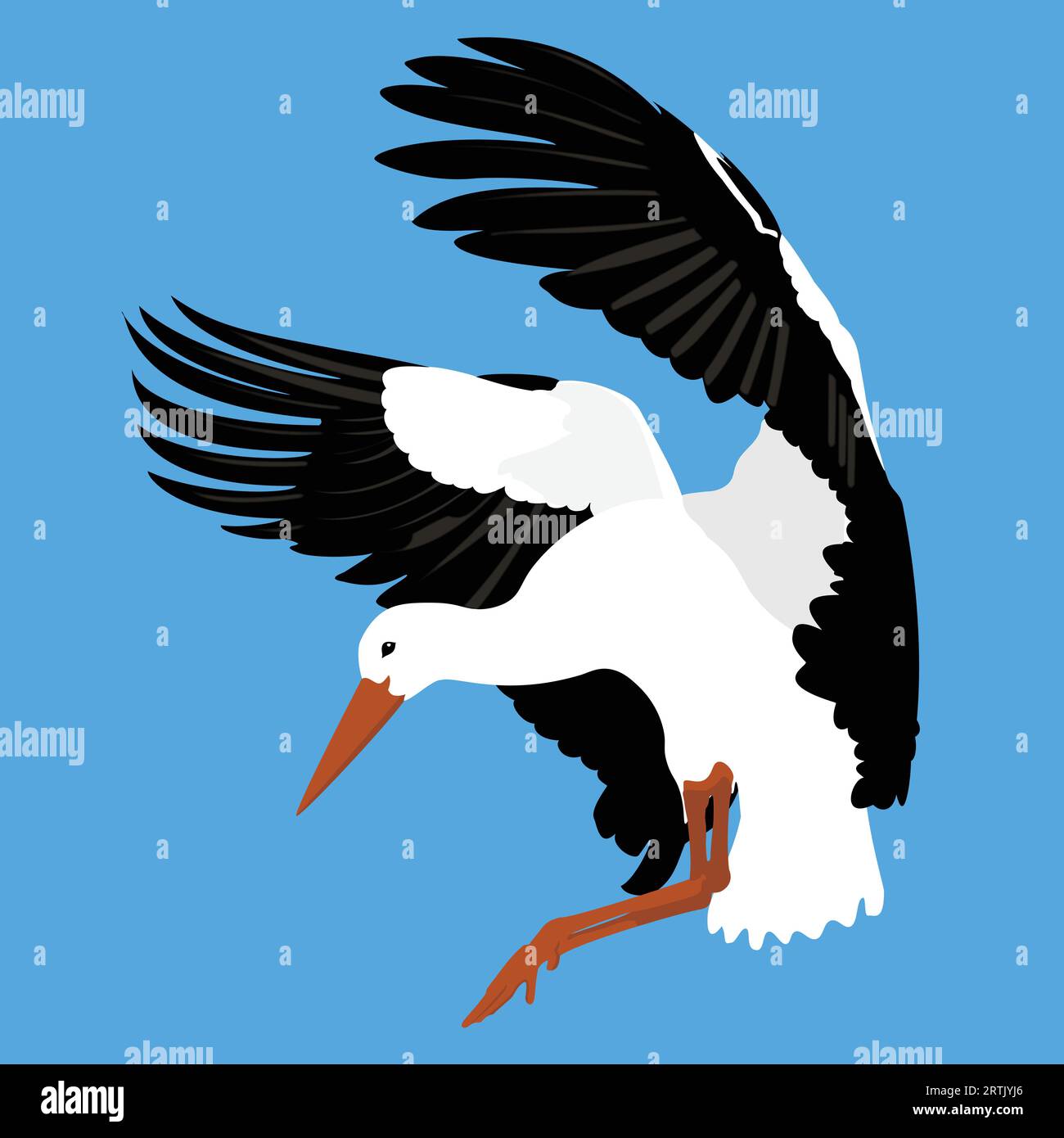 White stork landing Stock Vector Images - Alamy