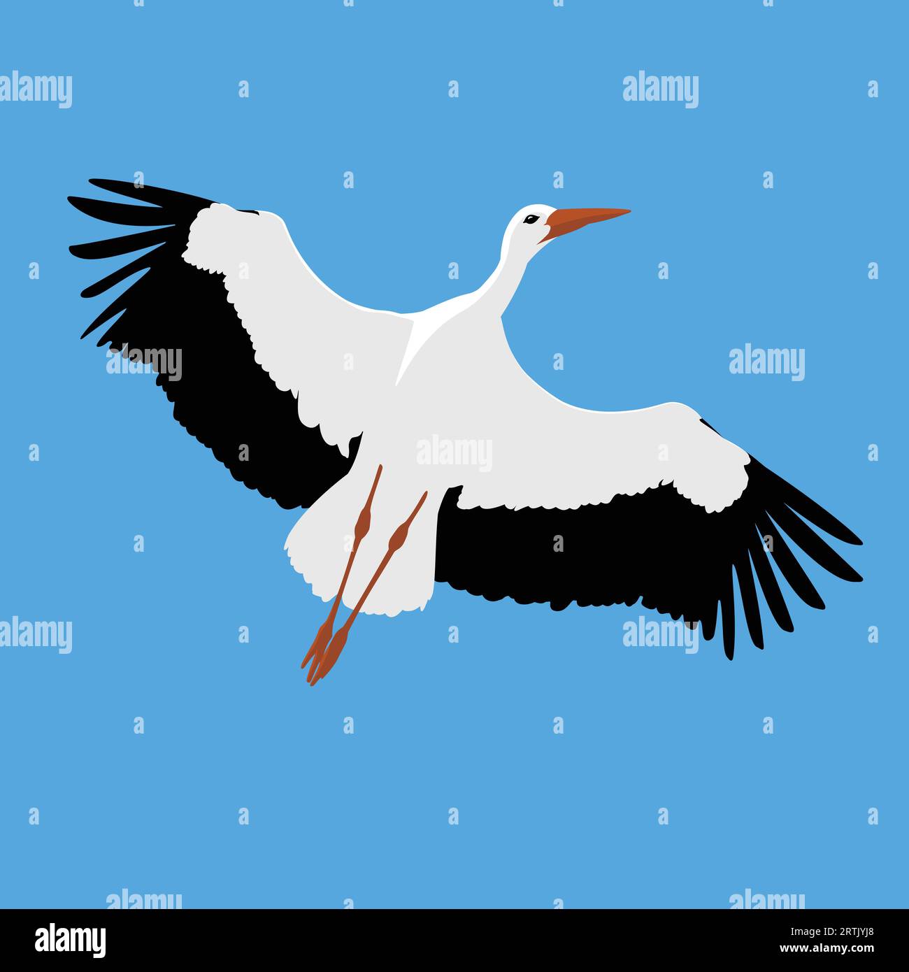 White Stork In Flight Stock Vector Image & Art - Alamy